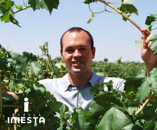 ¿Quieres visitar la bodega del futbolista Andrés Iniesta? - Saber de Vino